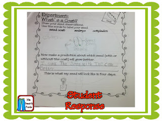 Ms. Smarty Pants : What Does Your Garden Grow?