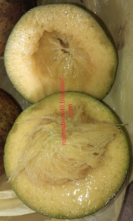 Khas dan Budaya Daerah Kalimantan: Asam Putar Kalimantan