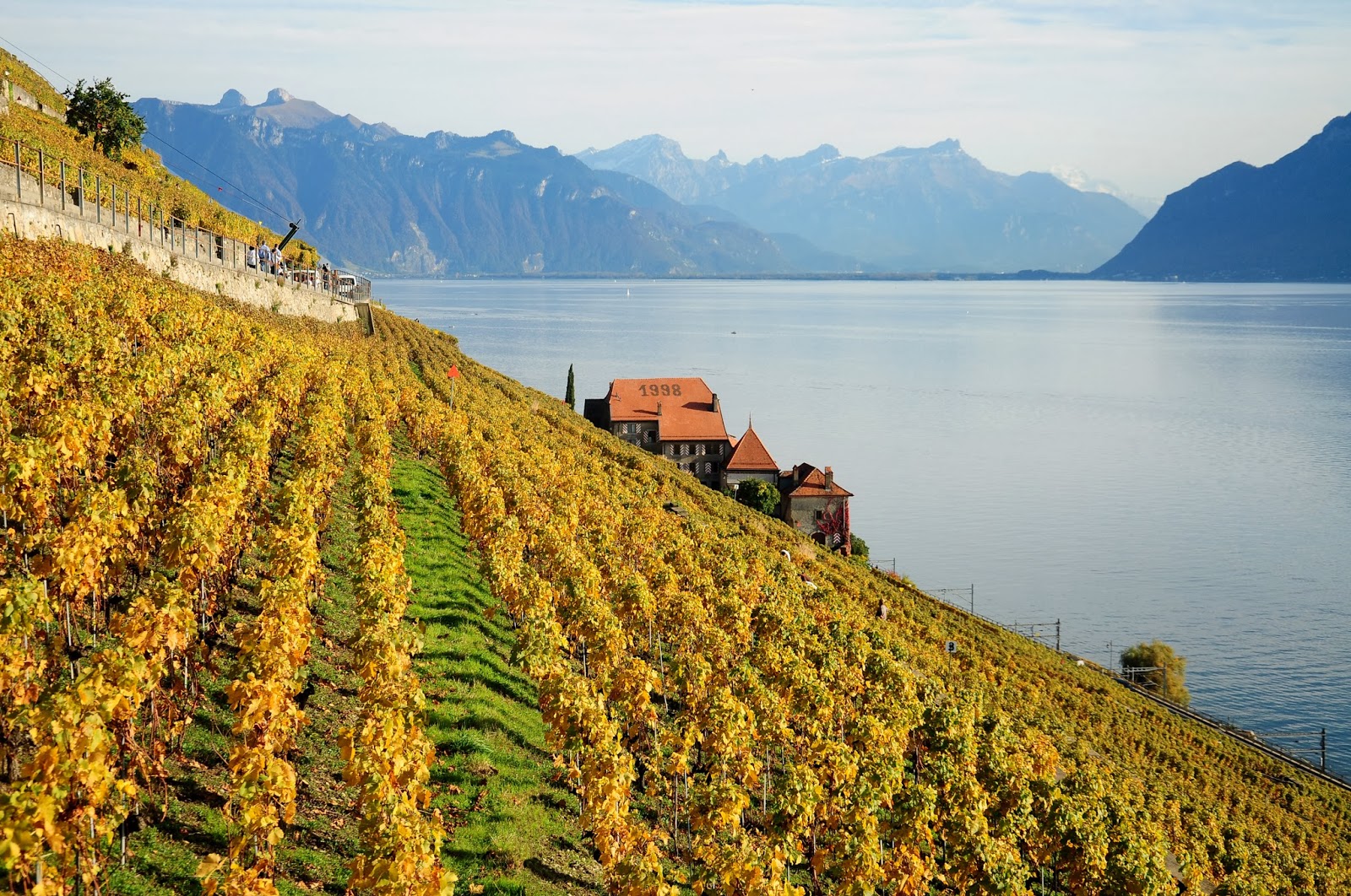 loving switzerland blog: Terrasses de Lavaux, Vaud