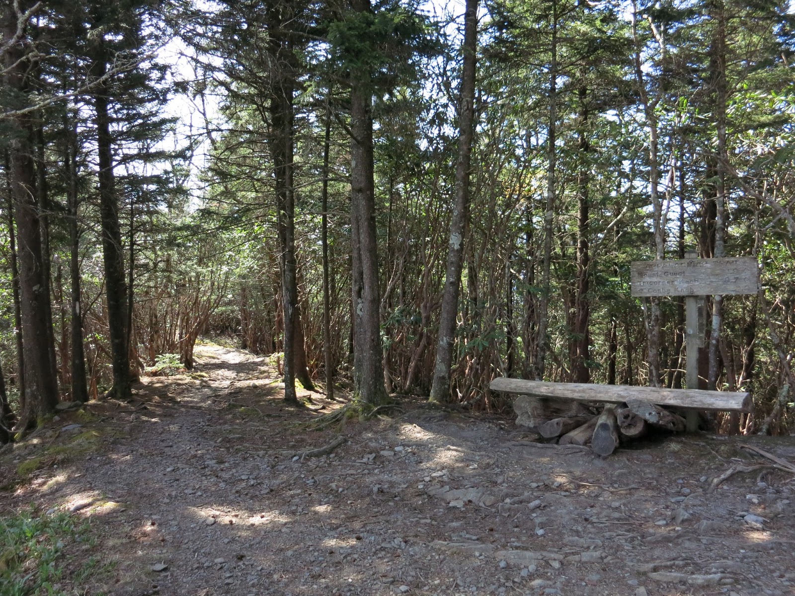 Come Along With Chong: Snake Den Ridge - Appalachian Trail - Low Gap Loop