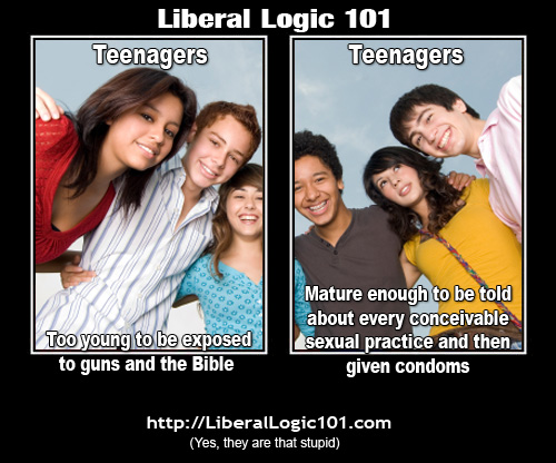 Weird And Pissed Off: Liberal "logic"