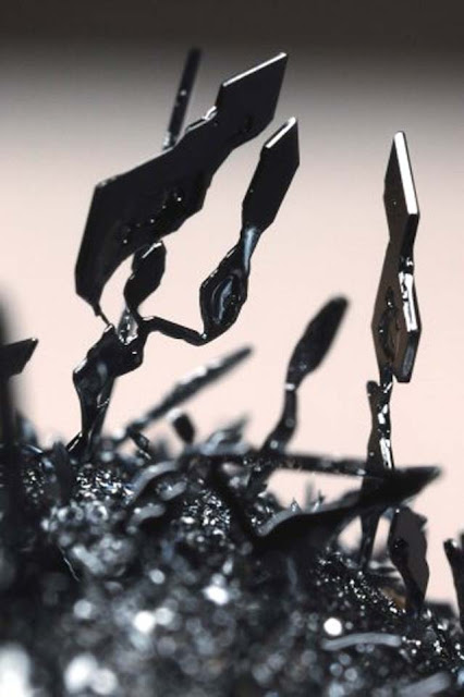 World's Most Amazing Things: Amazing 15 Extremely Magnified Photos - 10 ...