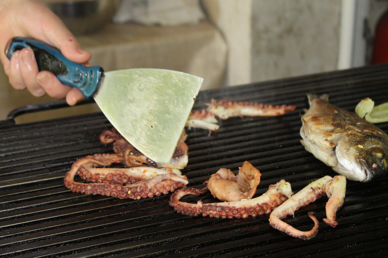 Emi and Kyle Heart Food: Beautiful and Boozy Kotor, Montenegro