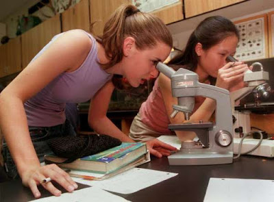 Scientific Method Experiment Ideas You Can Try At Home | Science ...