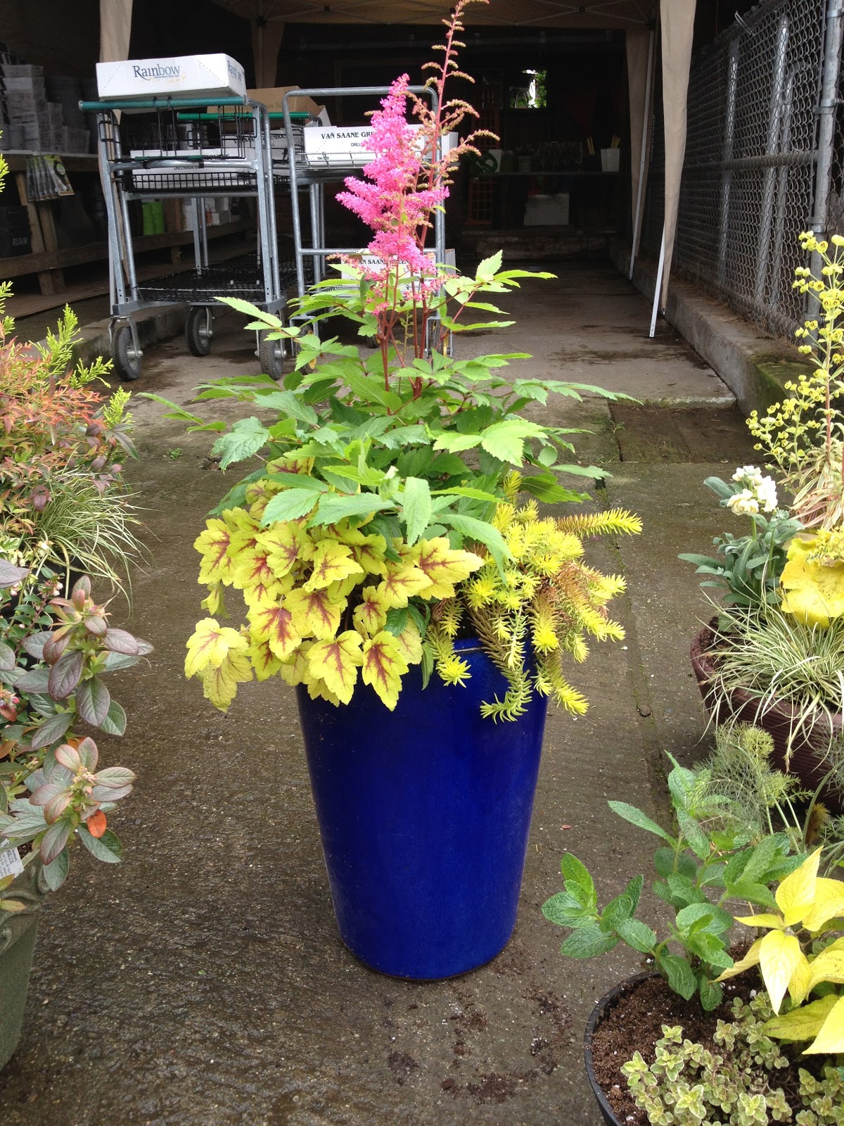 1000+ images about lovely blue pots on Pinterest | Pots, Blue and ...