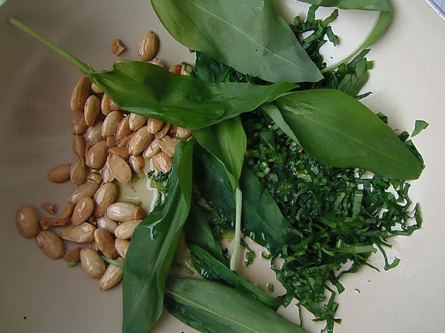 Pellaprat: Rižoto od teleće brizle i smrčaka na ljutiki i medvjeđem luku