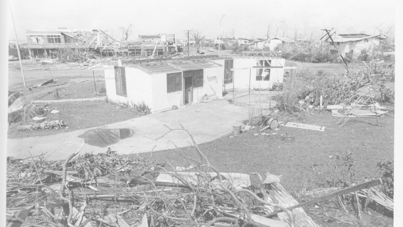 Little Darwin: CYCLONE TRACY INQUIRY REVEALED SHONKS: IS DARWIN ANY ...