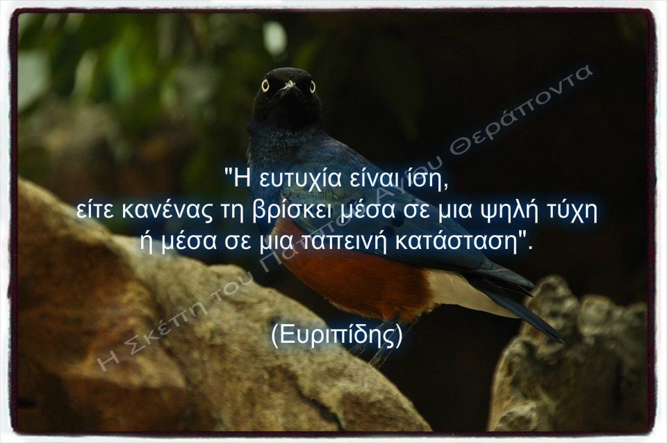 ΕΙΠΕ ΓΕΡΩΝ...: ΕΥΤΥΧΙΑ - ΑΠΟΦΘΕΓΜΑΤΑ