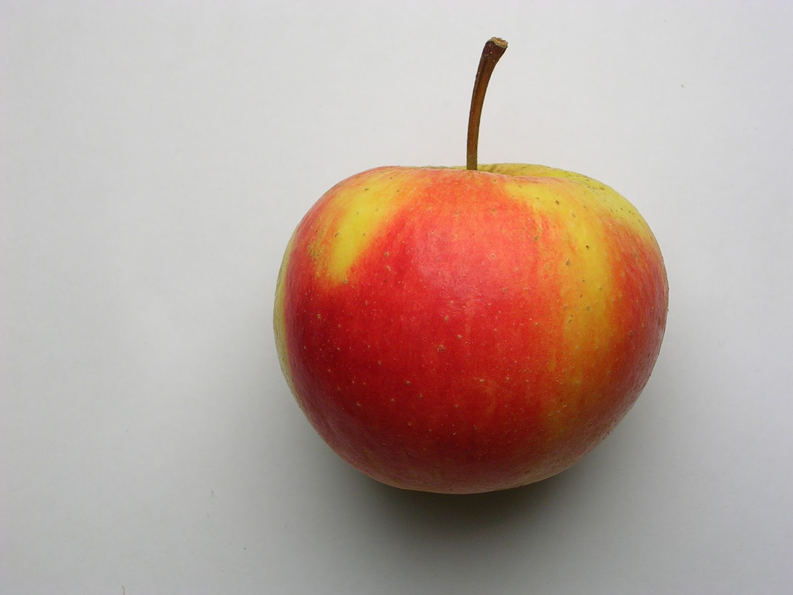 Bilder-Bibliothek: Apfel, Äpfel, Elstar-Apfel, Jonagold-Apfel, deutsche ...