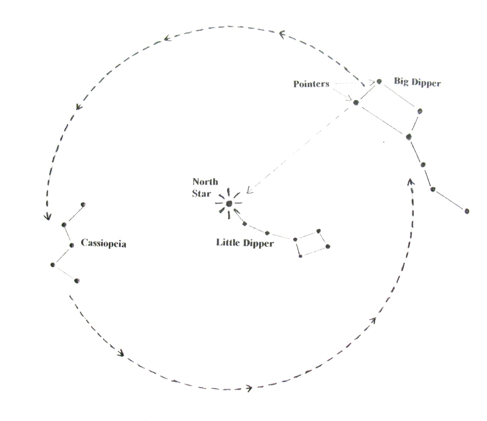 Sensible Survival: Telling Time by the Stars
