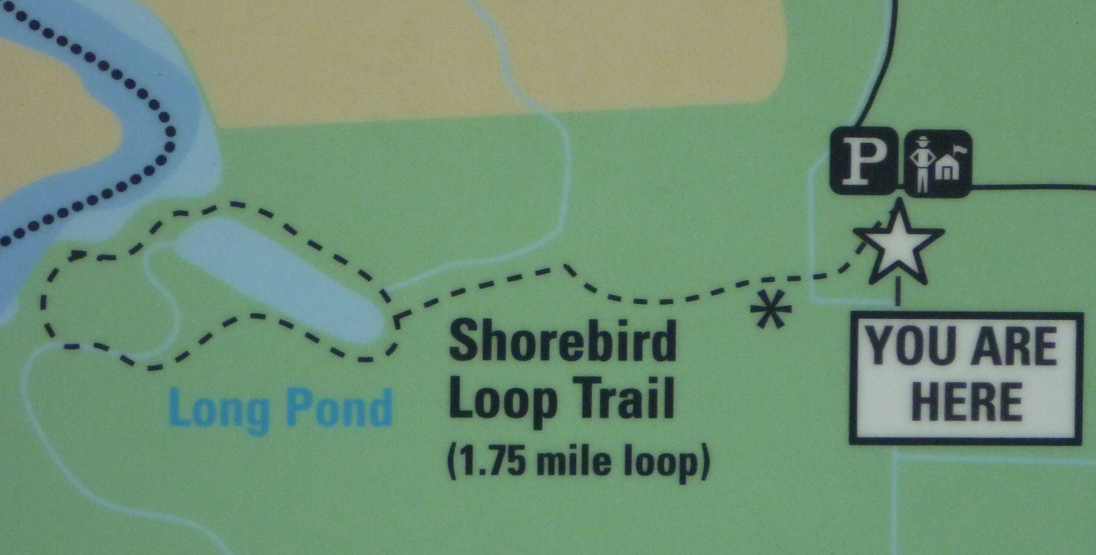 Trailing Ahead: Shorebird Loop Trail in Humboldt Bay National Wildlife ...