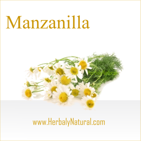 Herbolaria en Merida, Herbal y Natural: Manzanilla