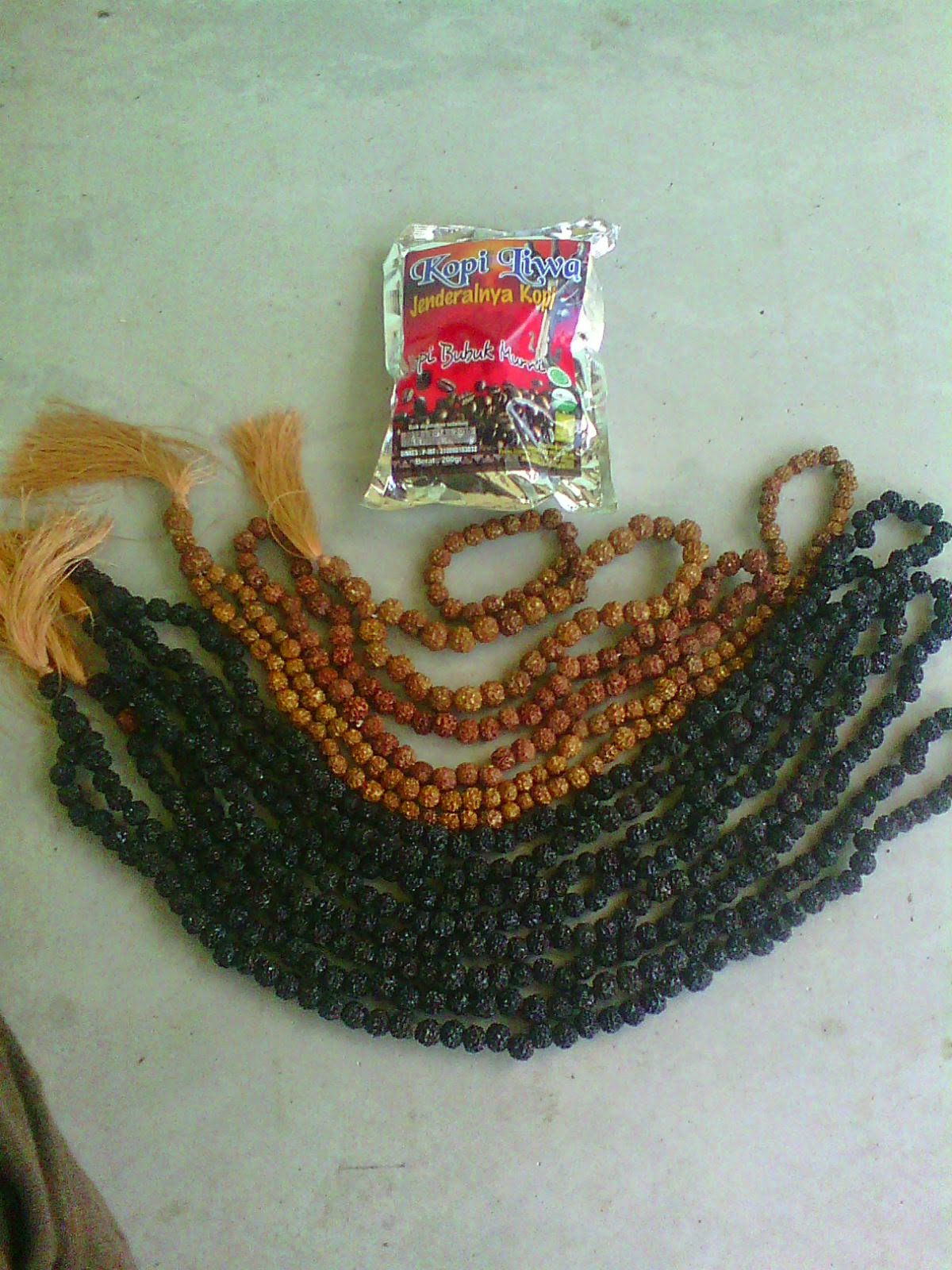 Rudraksha Cilacap: Pengolahan Biji Jenitri (Elaeocarpus ganitrus)