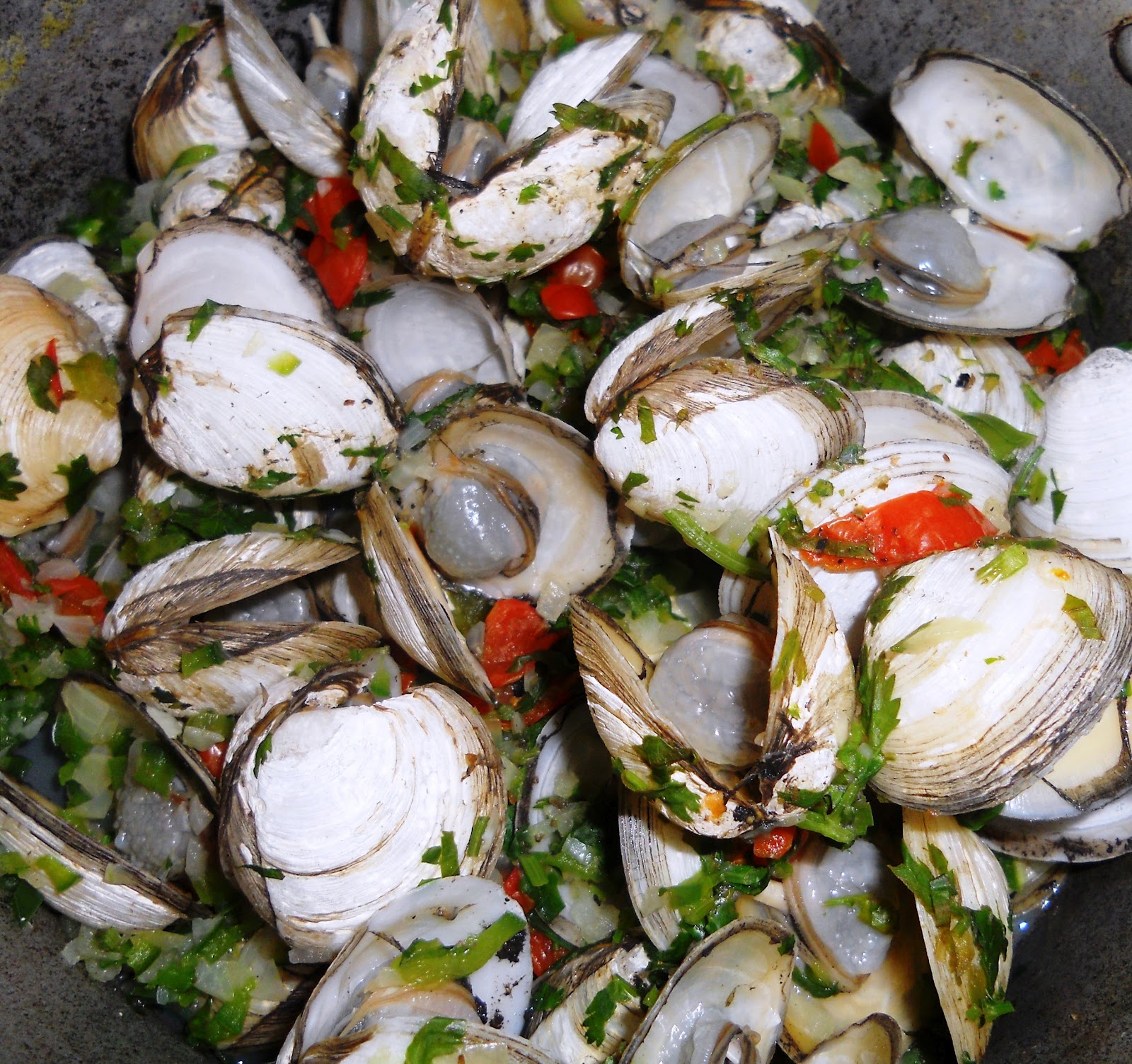LAMBRETA - RECEITA