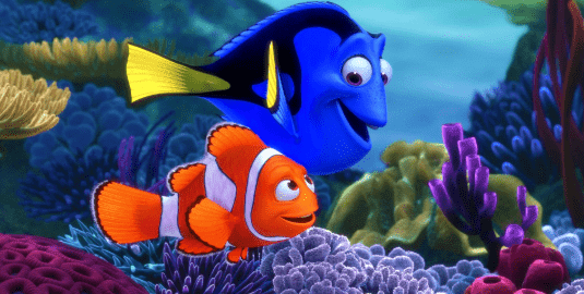 6 Jenis Ikan Nemo Indah Beserta Harga dan Cara Merawat | Hewan Air Info ...