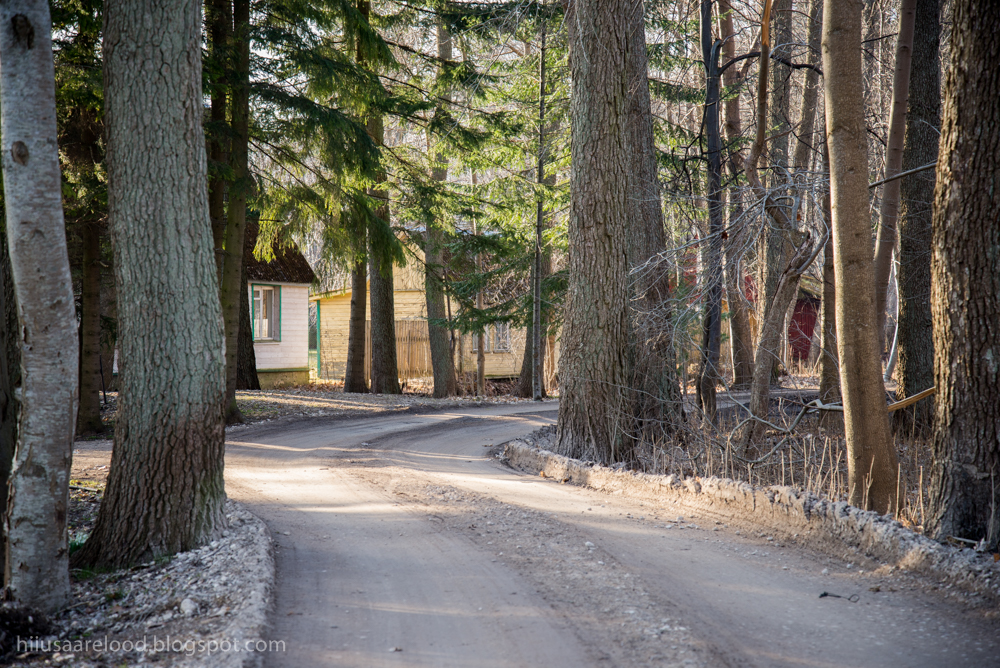 pealkirjata: kevad kevad