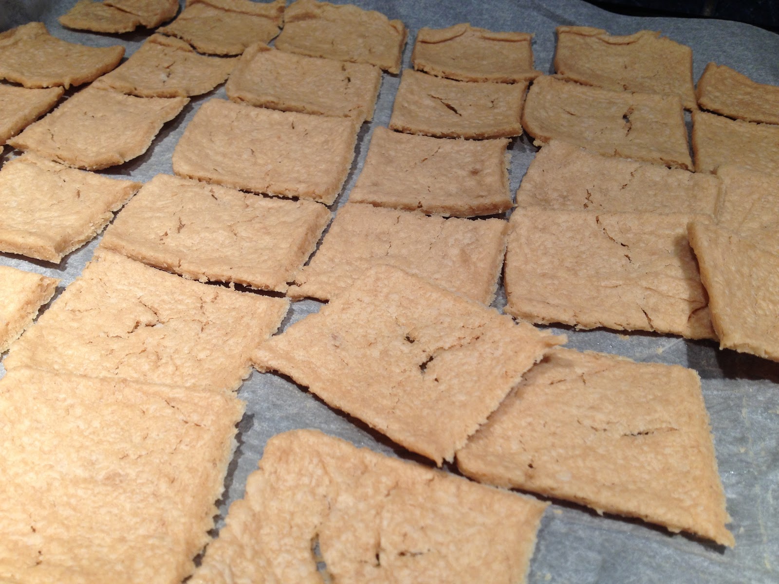 Nettes hälsoresa: Glutenfritt och jästfritt ströbröd eller salta kex