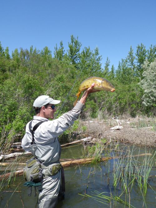Fly-Carpin: The Big C 2011: Invasion Of The Carp