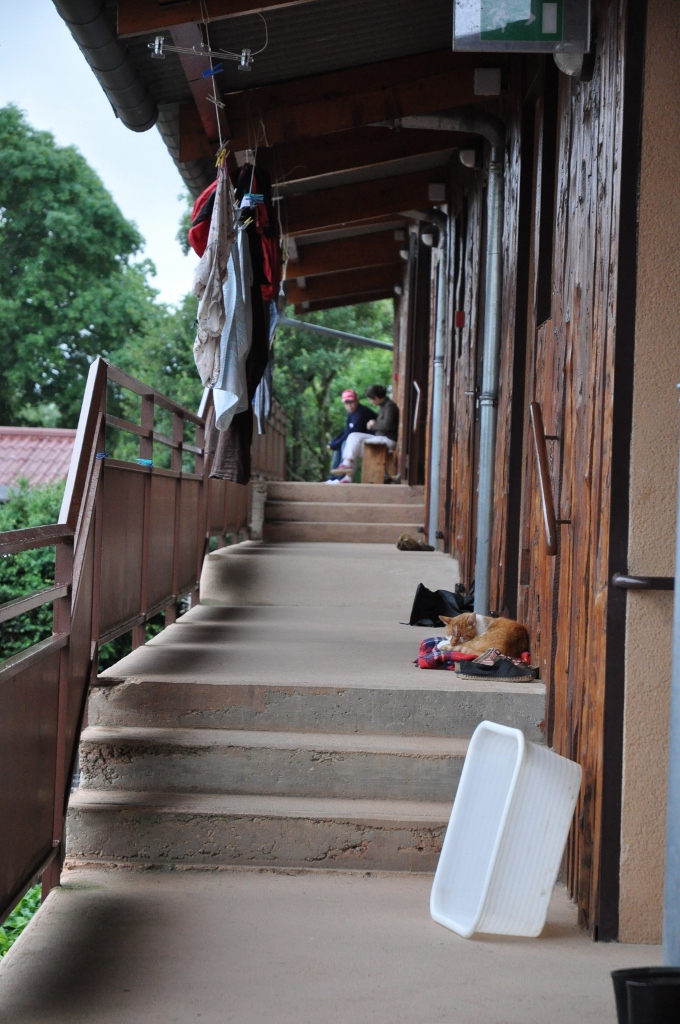 :) C for Cherish* Taizé 2010: June17* Oyak?!