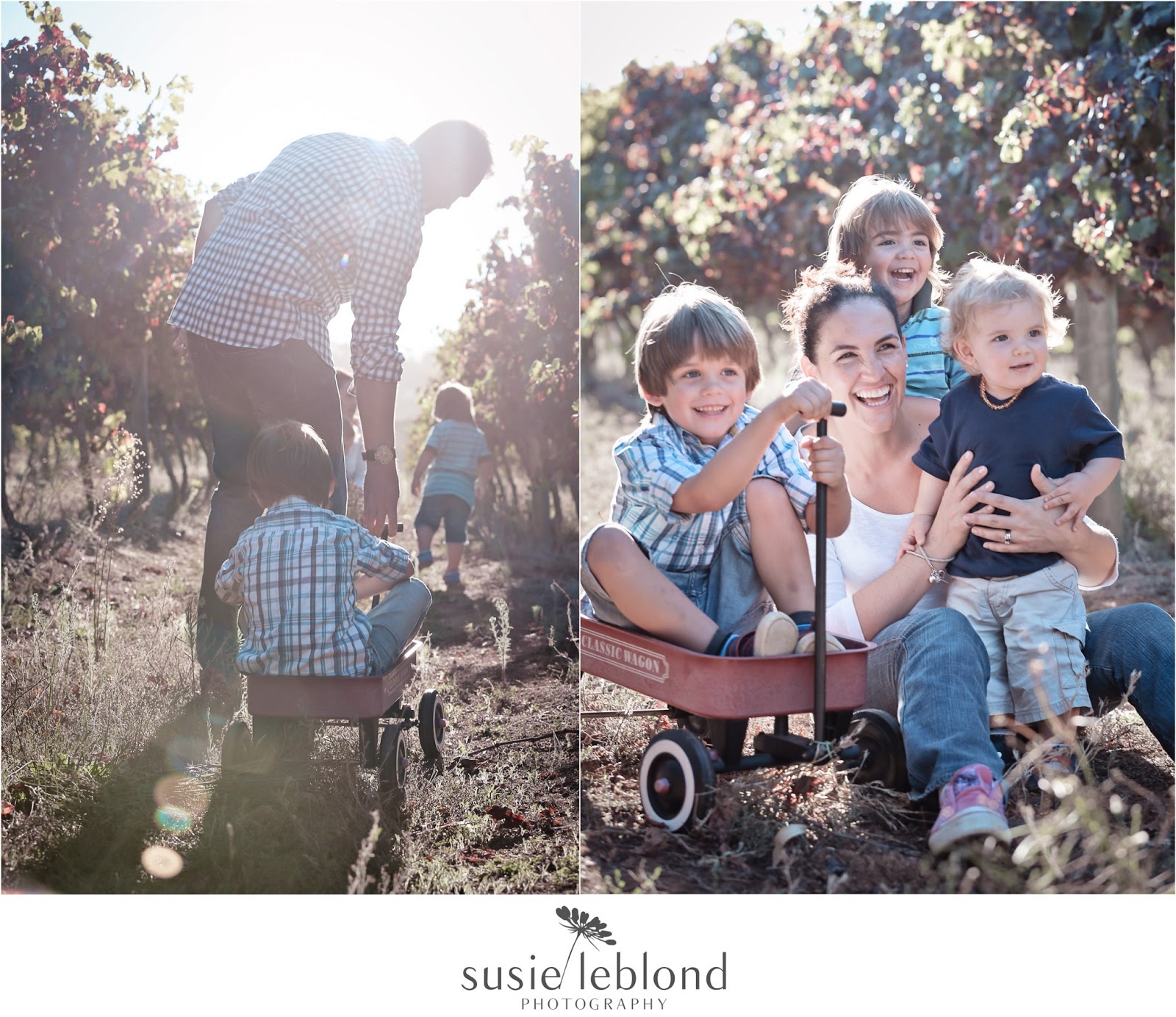 susie leblond photography: Hardiman Family