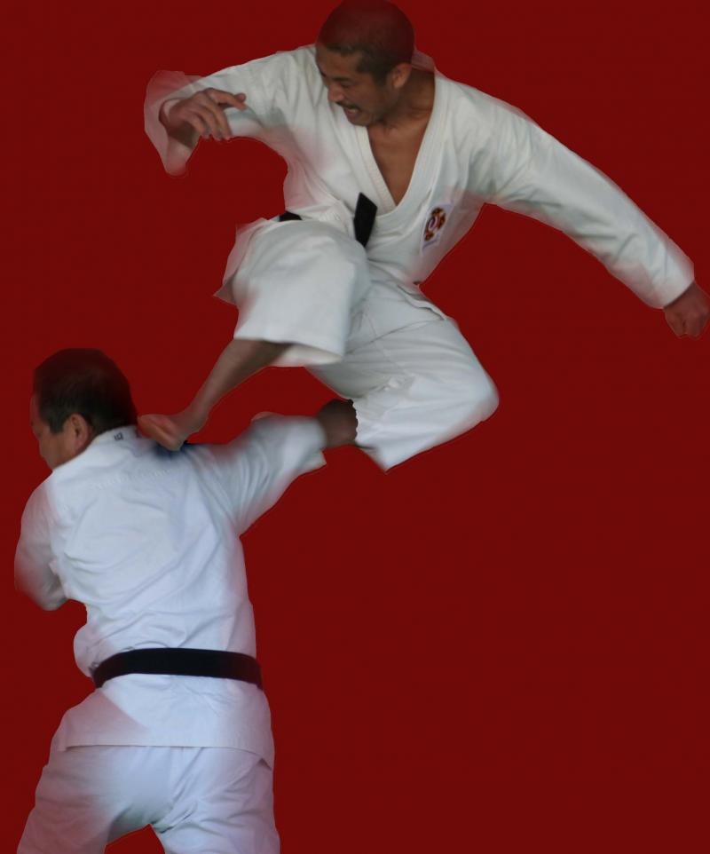Barretos: As seis características distintas do Shorinji Kempo