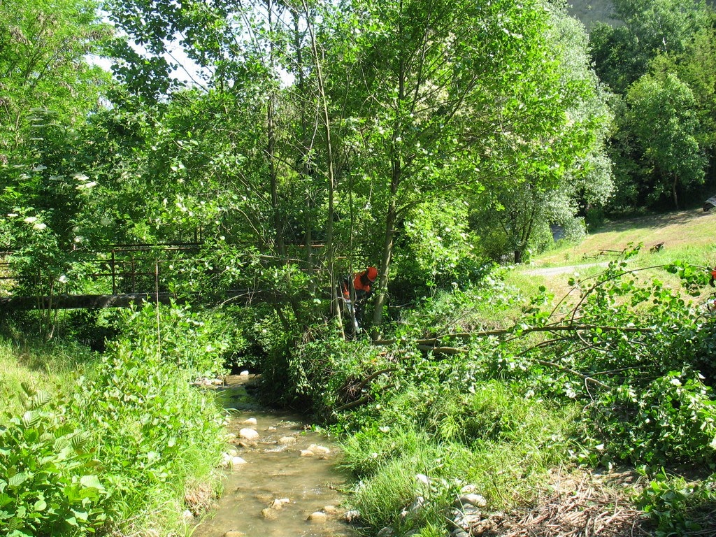 Notizie dalle valli del Reno e del Setta: Sasso Marconi. ‘Prevenire le ...