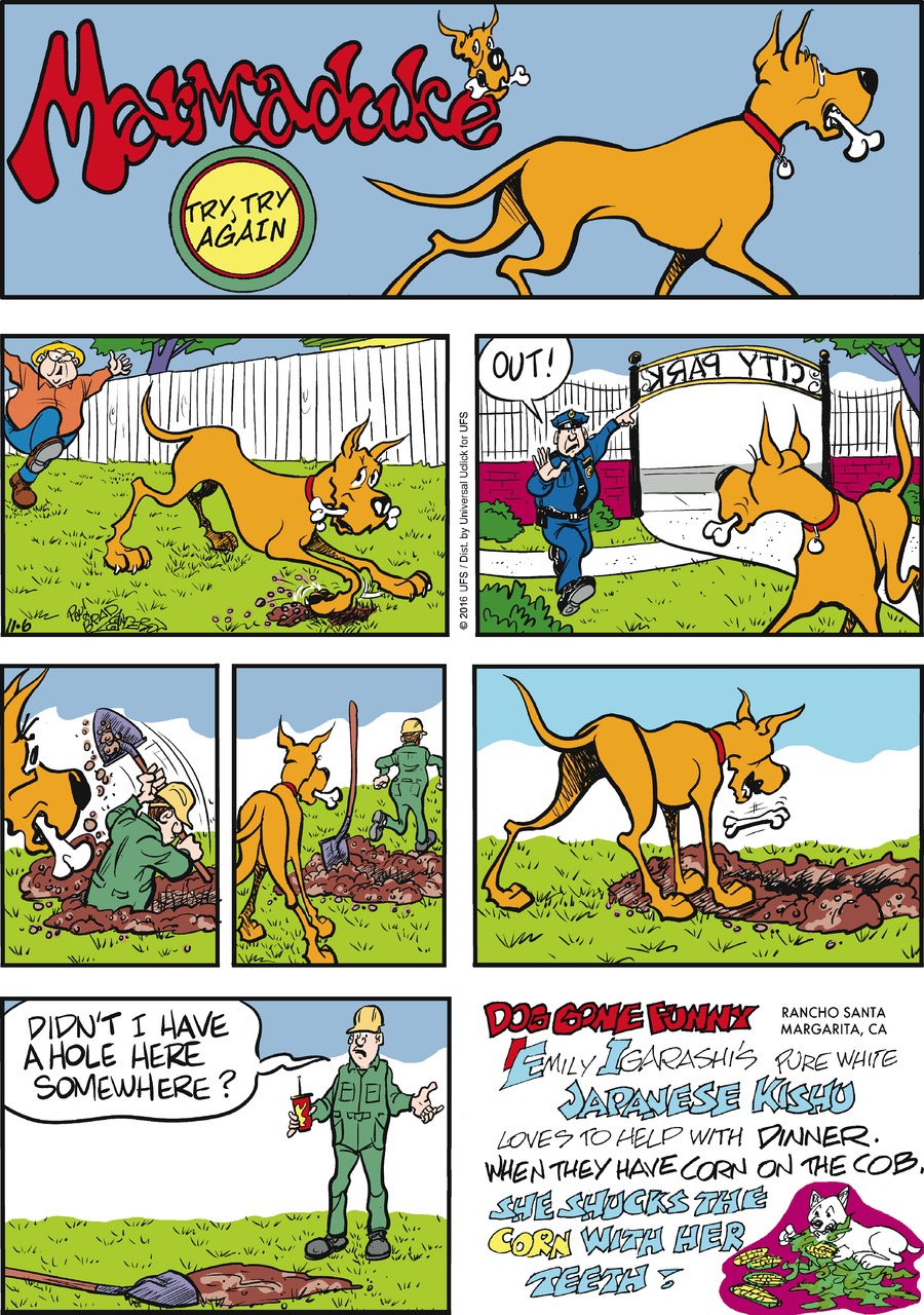 tauy creek: What Are the Candidates Positions On the Garbage Ape?