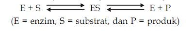 Pengertian Enzim
