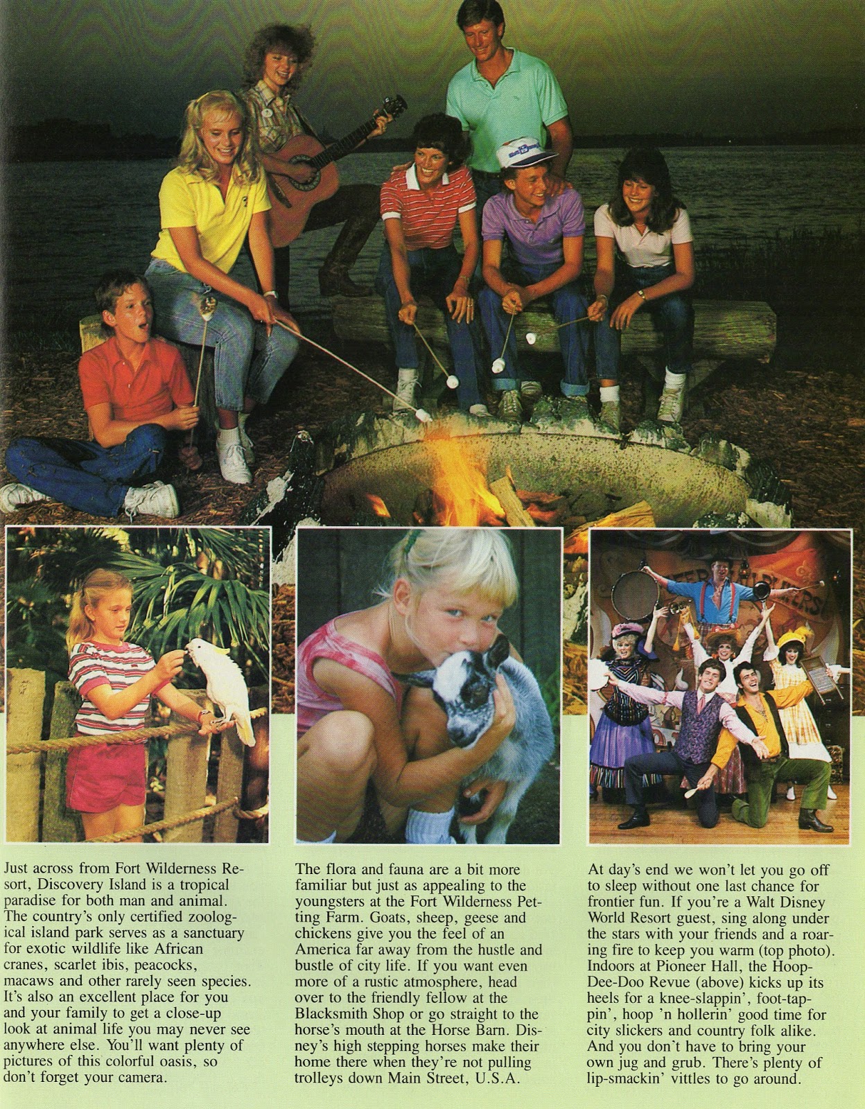 Disney Avenue: Walt Disney World's 1986 Resort Offerings