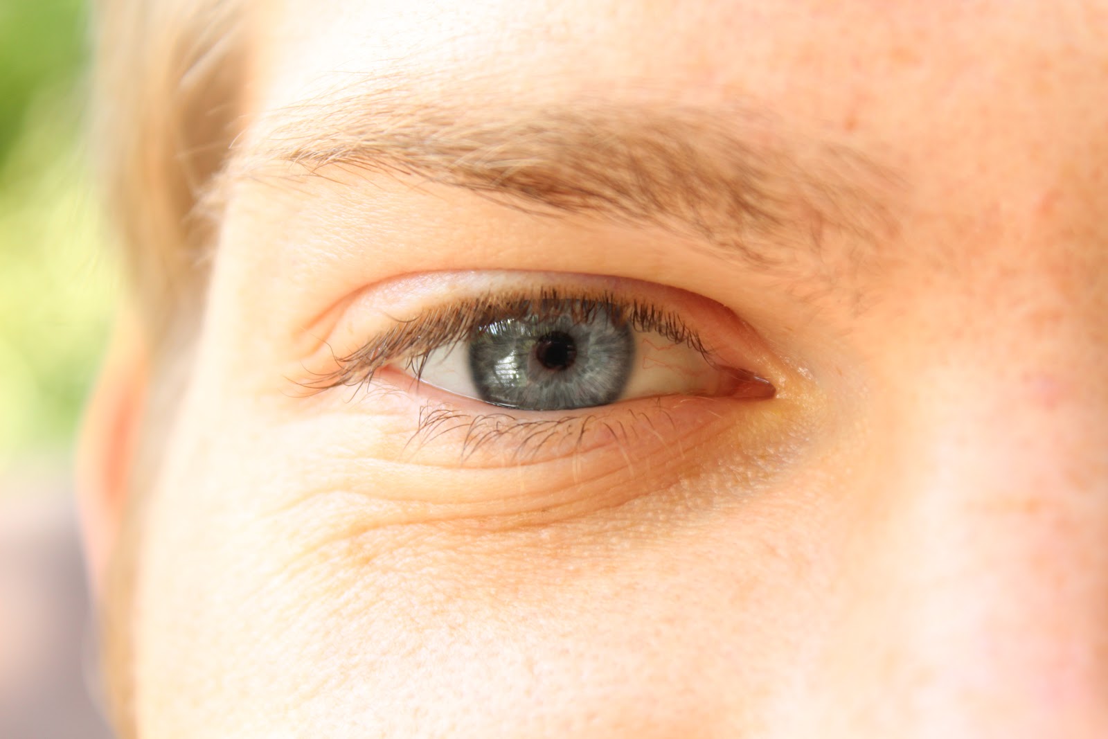 Media - It's Everywhere: 2012