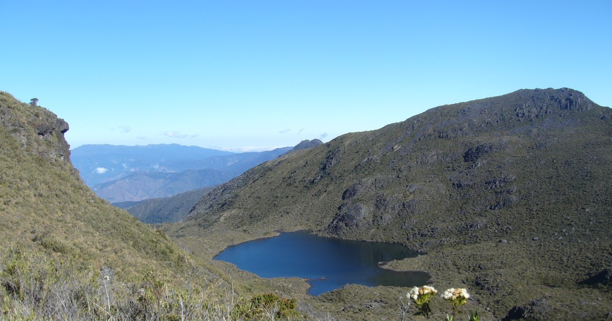 ECOSISTEMAS DE COSTA RICA: PARQUE NACIONAL CHIRRIPÓ