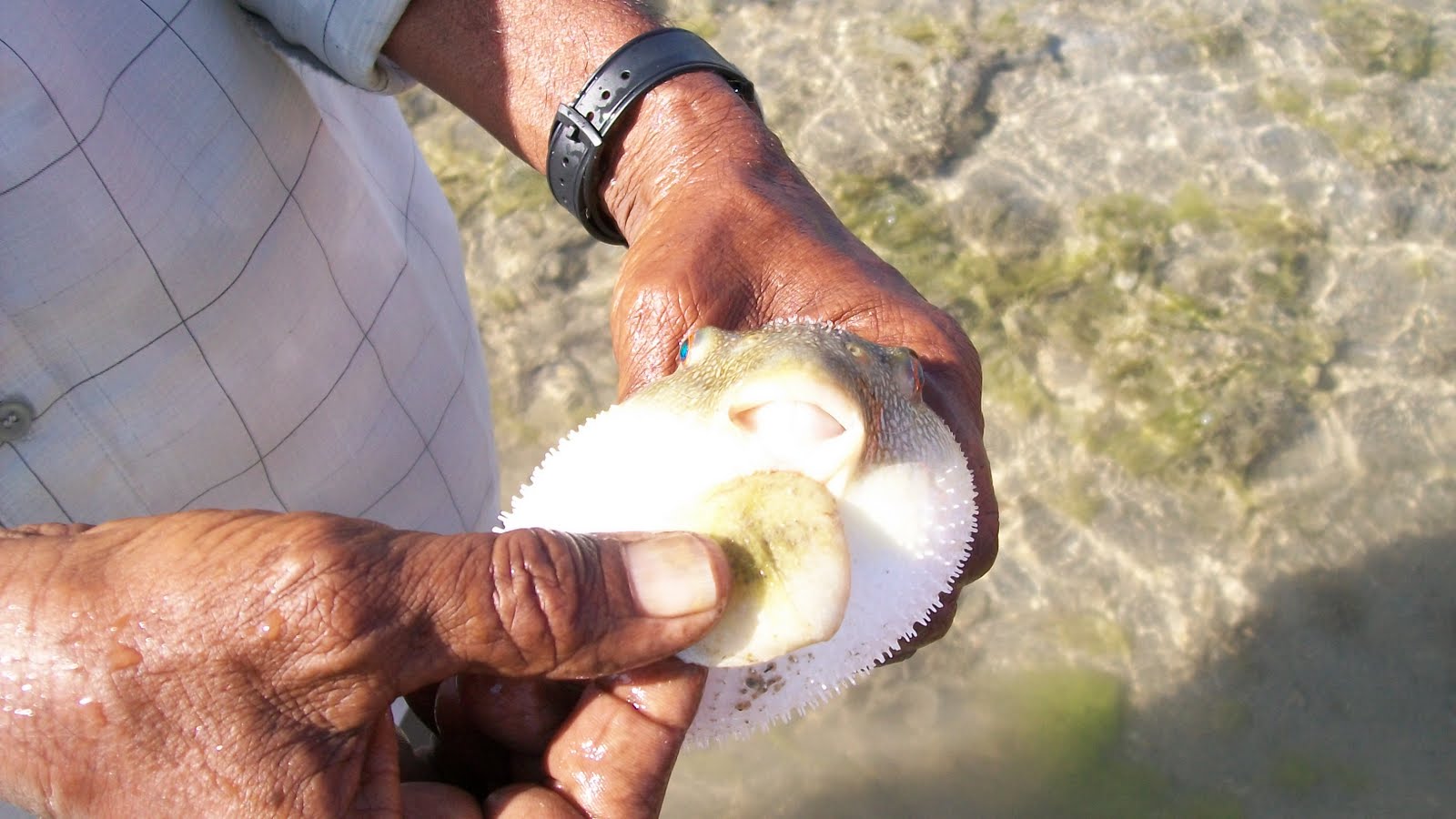 The marine national park - Narara (Jamnagar) | About Holidays