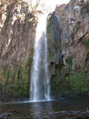Brassavola Digbyana: Departamento de Intibucá: Comidas, Actividades ...