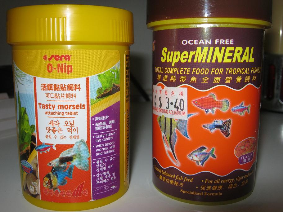 A NIGHT BY THE AQUARIUM