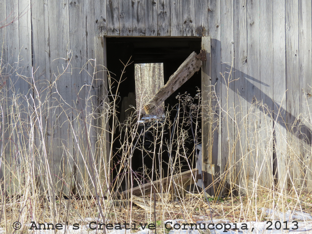 Anne's Creative Cornucopia: Barns - Photographs