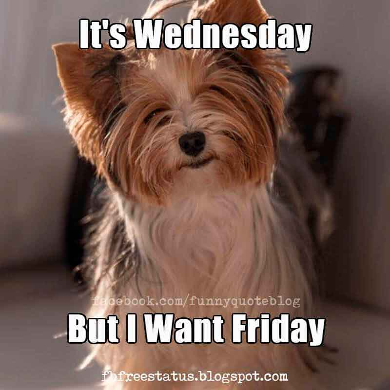 It's Wednesday, Funny & Happy Wednesday Meme with Wednesday Quotes