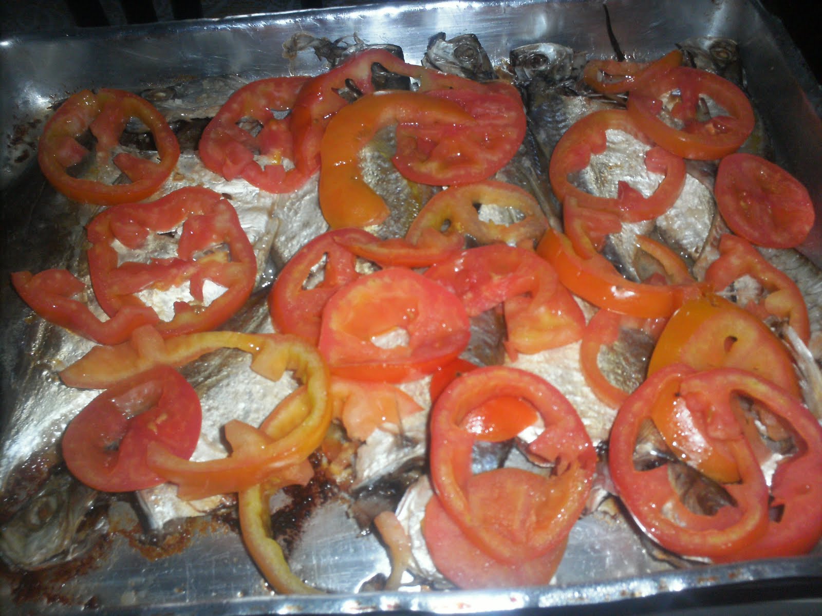 PROJETO VIDA SAUDÁVEL: PEIXE V PILOMBETA E PEIXE GALO