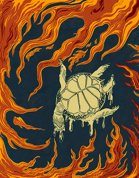 Alain Corbel illustration: How to save the sea turtles of Sao Tome and ...