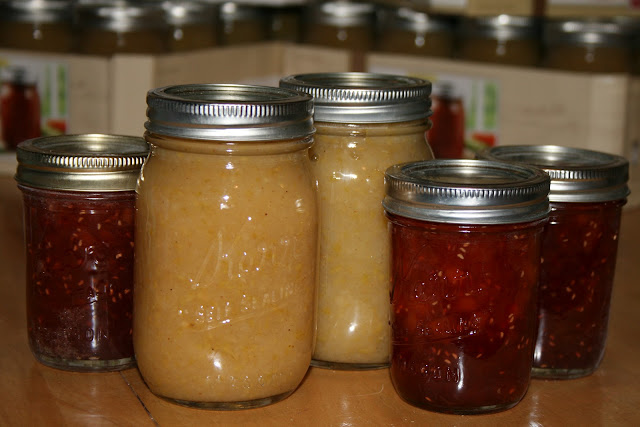 Kim's Cookin and Craft-Makin: Jammin!