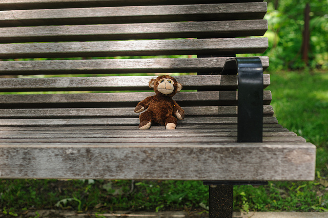 benchsite: 2016 The Year of the Monkey Bench