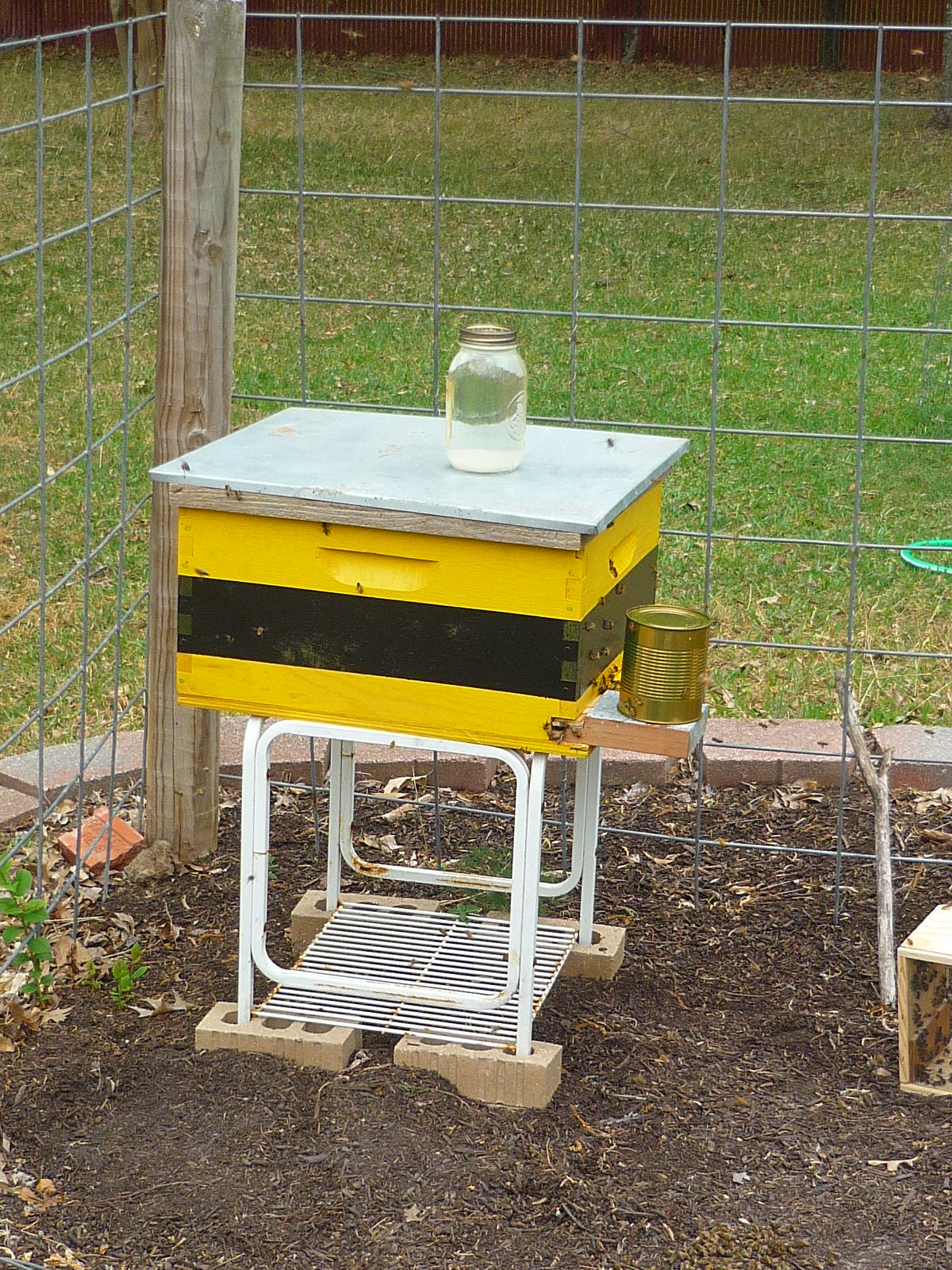 Lehmann Beekeeping and Apiary