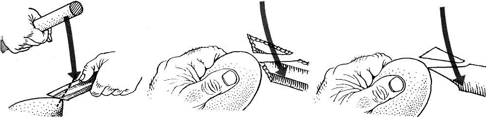 EVERYTHING ABOUT ARCHAEOLOGY: WHAT IS THE ANVIL TECHNIQUE