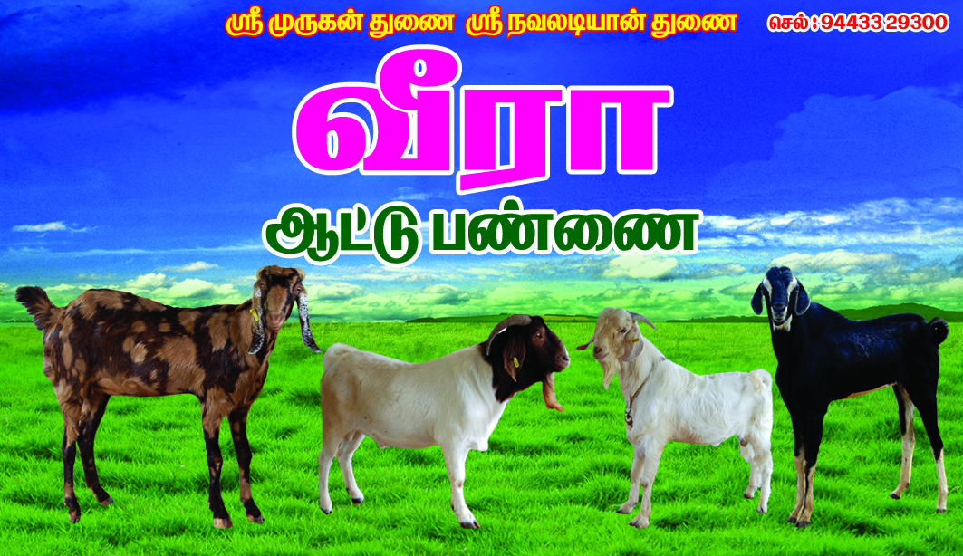 veeravasu goat farm: VEERA GOAT FORM