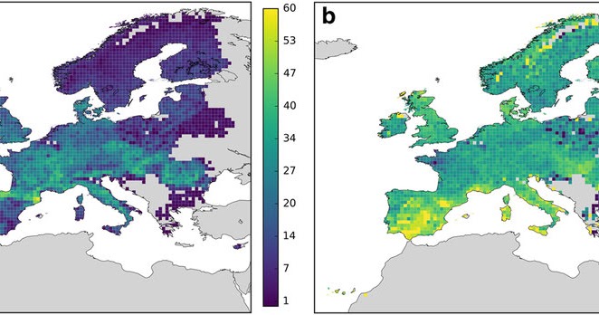 Diversity of tree species in the Europe