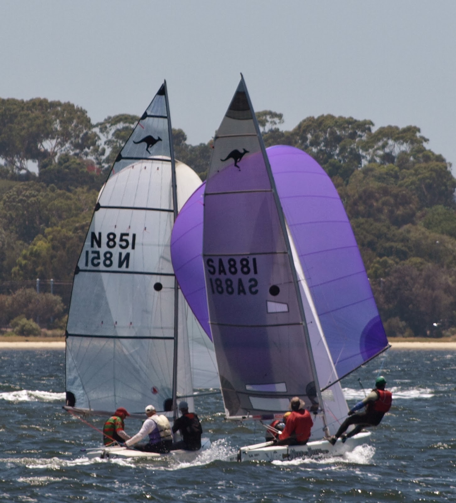 Observations in an undemocratic world: Race 7 - Australian Sharpie ...