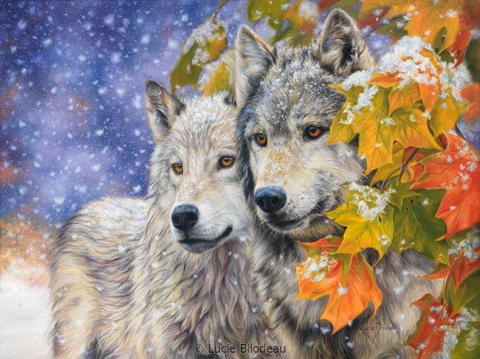 White Wolf : North American Wildlife Paintings by Lucie Bilodeau ...