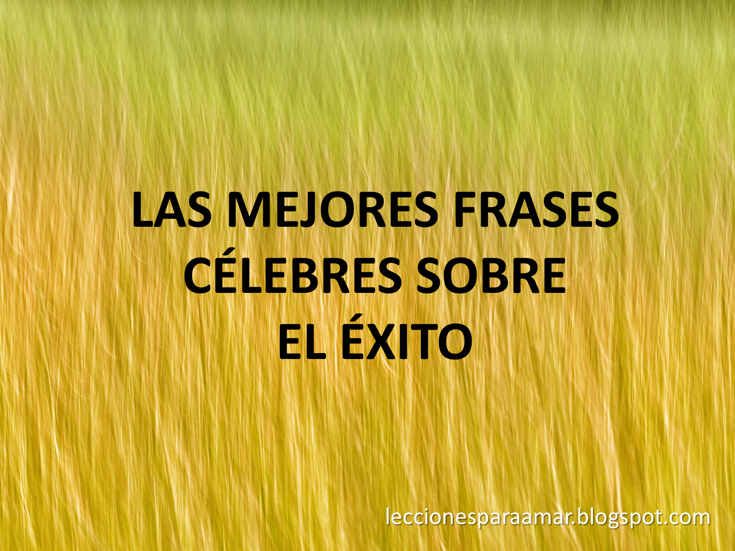 Lecciones para amar: Frases célebres sobre el éxito