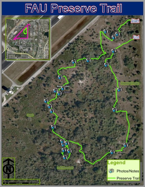 FAU Diehard: Walking the Tortuga Trail