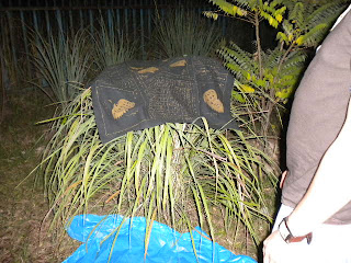 SAUDAGAR PERMATA MISTIK: Permata Mistik Dari Rumpun Serai Berbunga