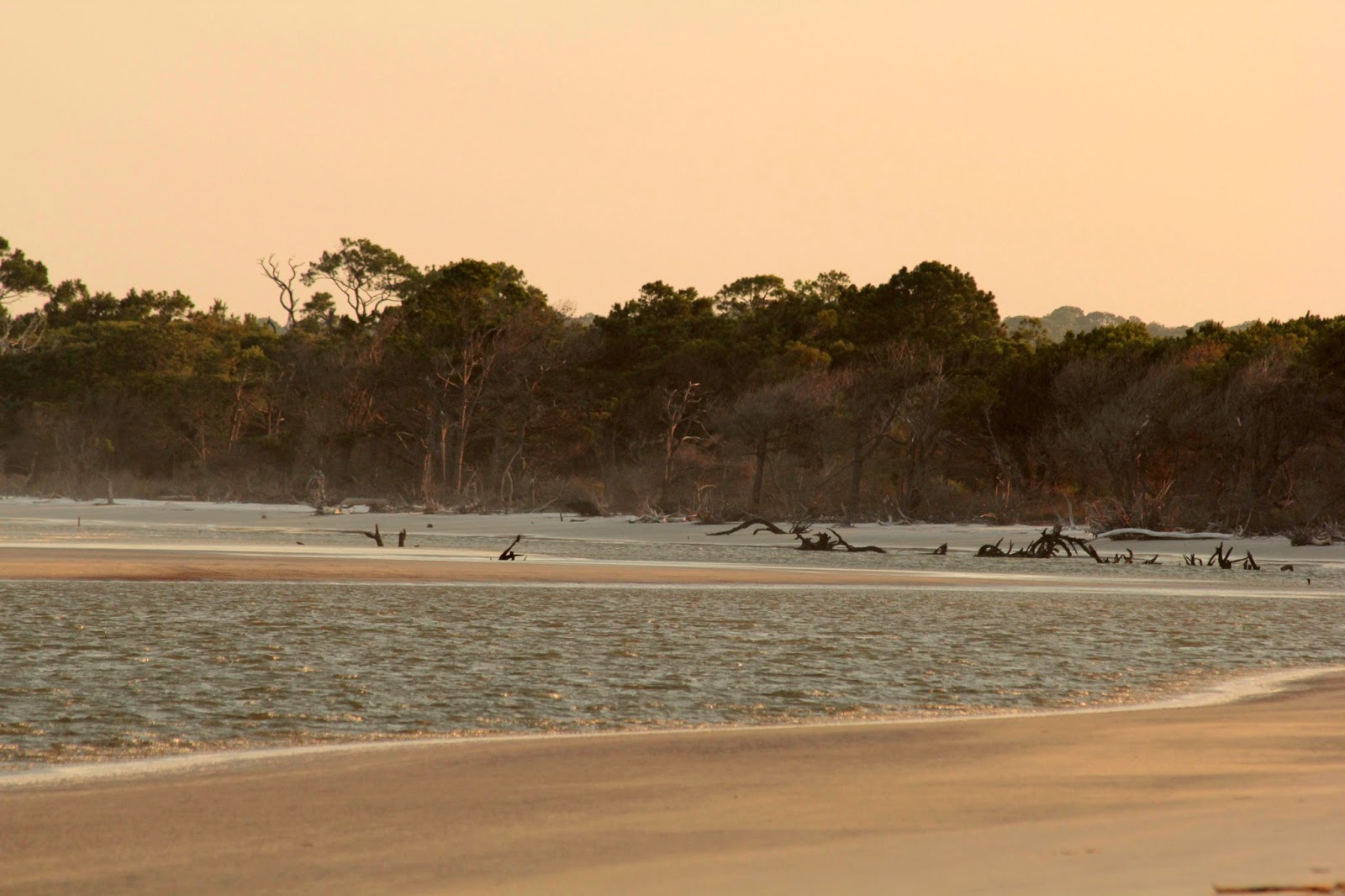 Sapelo Island, Part I